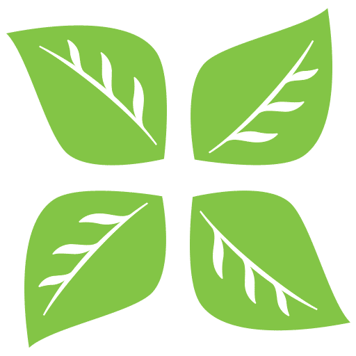 Jennifer Rabin - Research